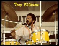 Tony Williams | The Music Museum of New England